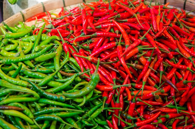 Gallery - Harvest Sphere Farm Ltd